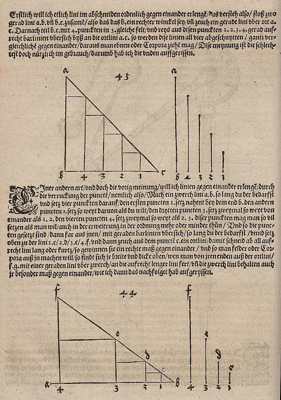 Graphisches Bild einer linearen Funktion und einer exponentiellen Funktion
