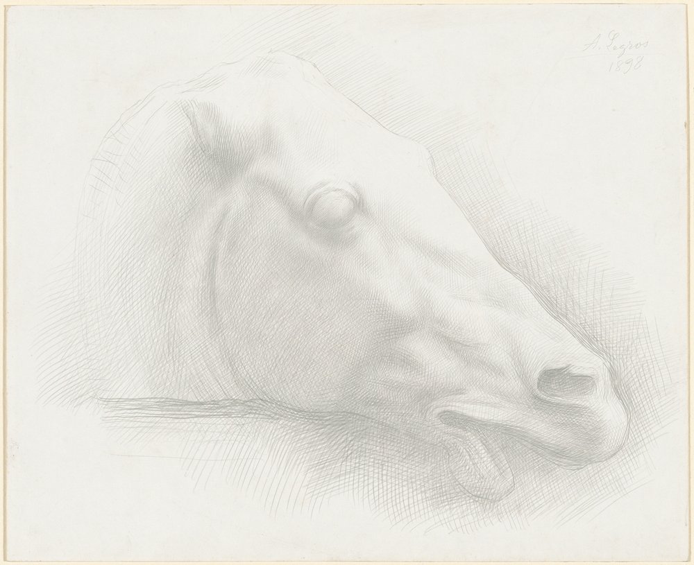 Kopf eines Pferdes vom Parthenon, 1898 von Alphonse Legros