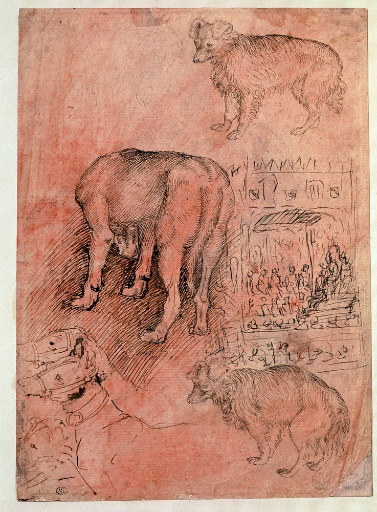 Hundestudien. Aulische Episode. Zeichnung von Antonio Pisano, genannt ...