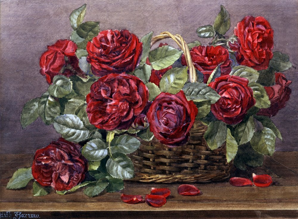 Rote Rosen von Edith Isabel Barrow: Kunstdruck kaufen