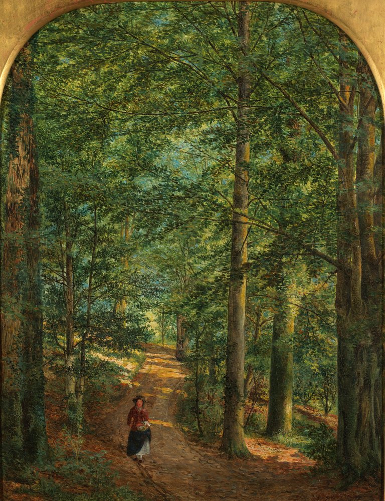 Im Wald von Edmund George Warren: hochwertiger Kunstdruck