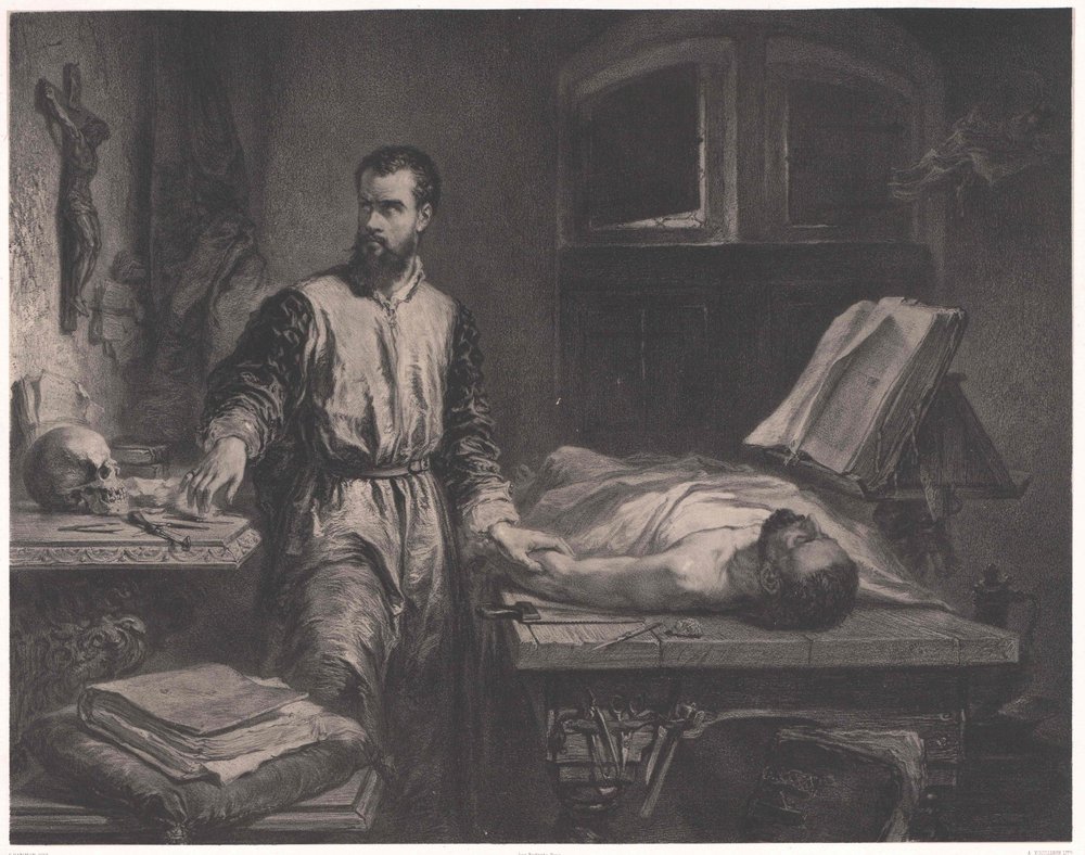 Andreas Vesalius von Edouard Jean Conrad (after) Hamman
