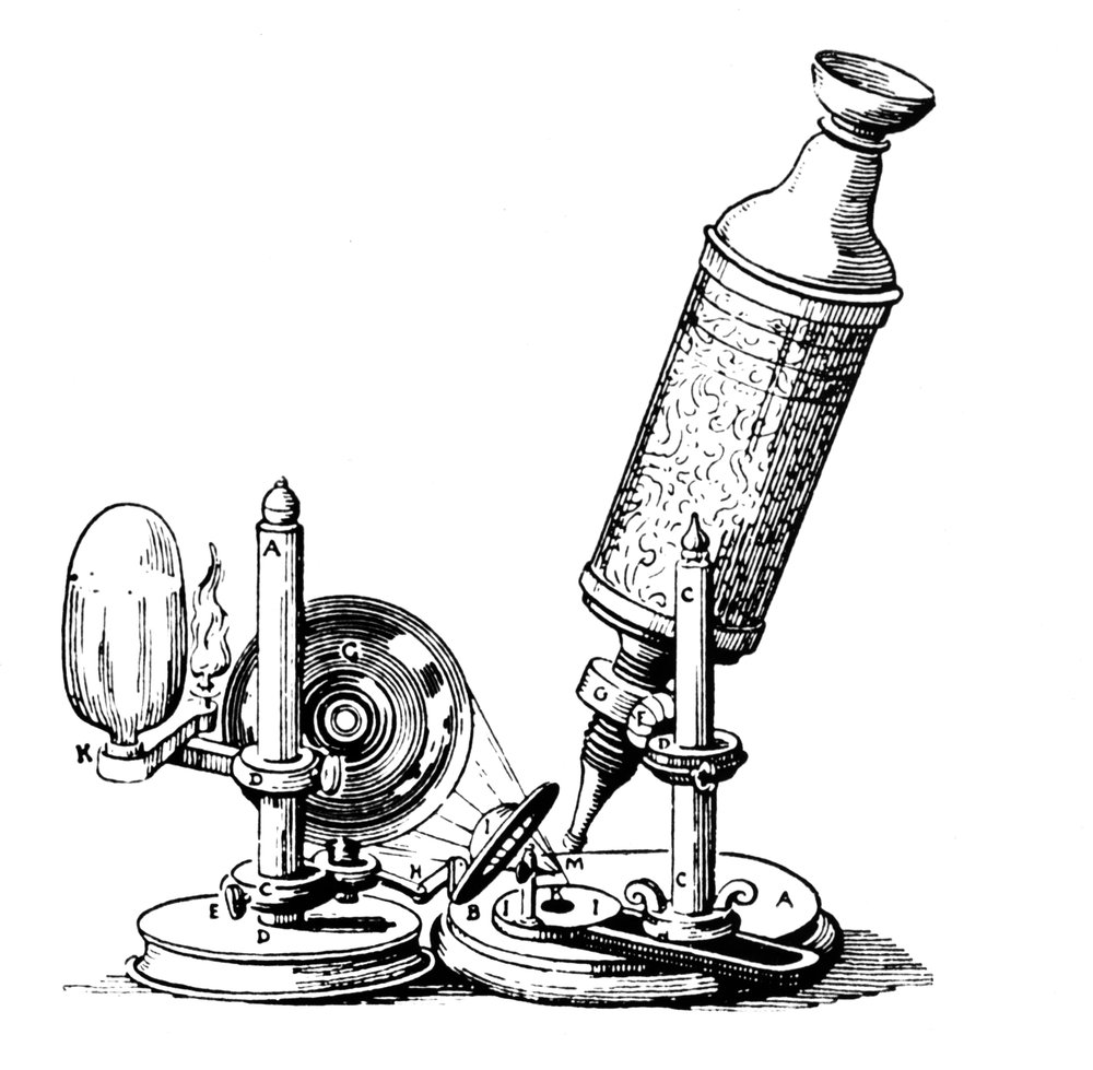 Robert Hookes Mikroskop von English School: Kunstdruck