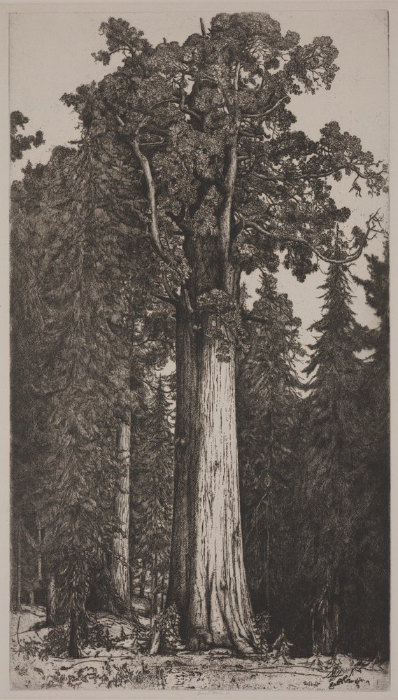 General Sherman von Ernest Haskell: Kunstdruck kaufen