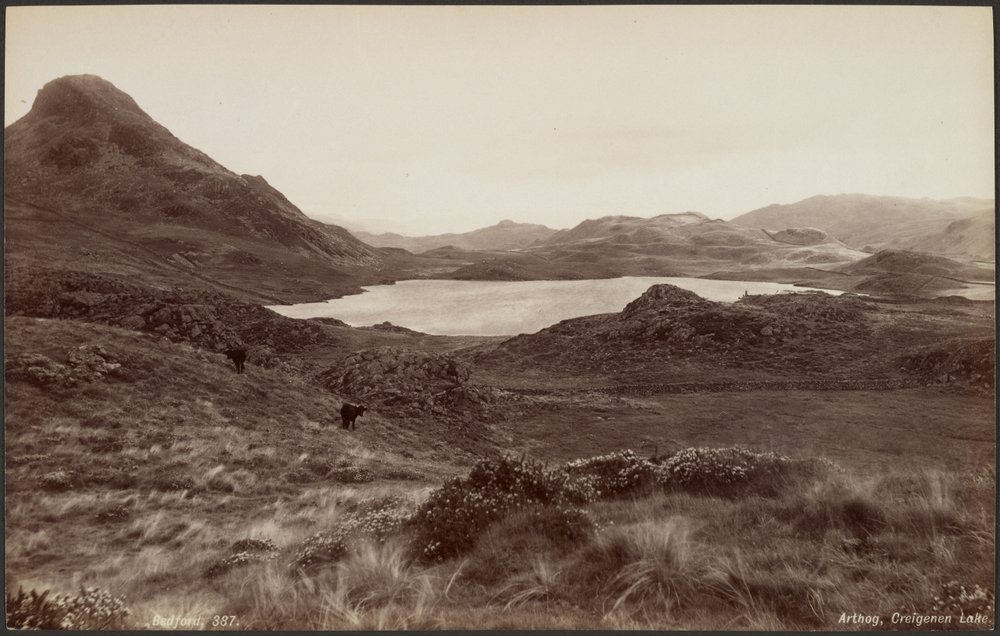 Arthog, Creigenen-See von Francis Bedford: Kunstdruck