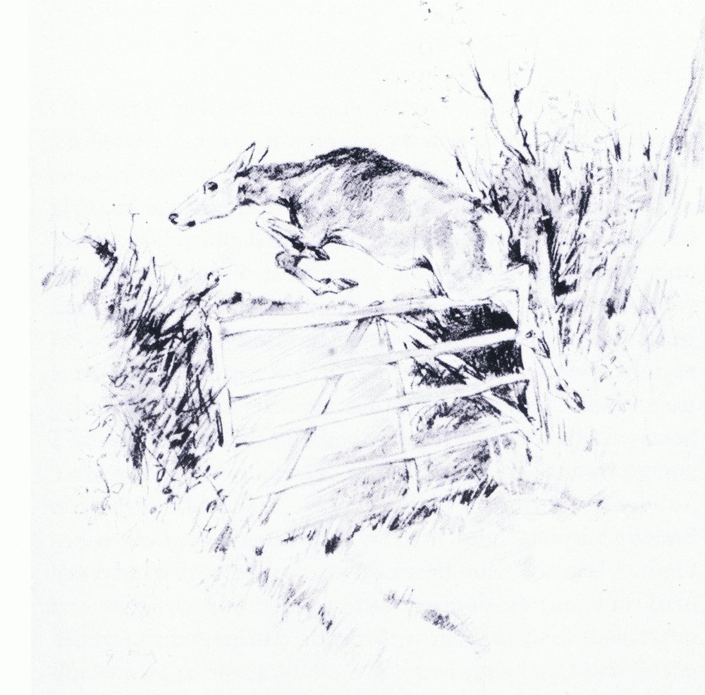 Wie ein Pfeil aus einem Bogen von George Denholm Armour