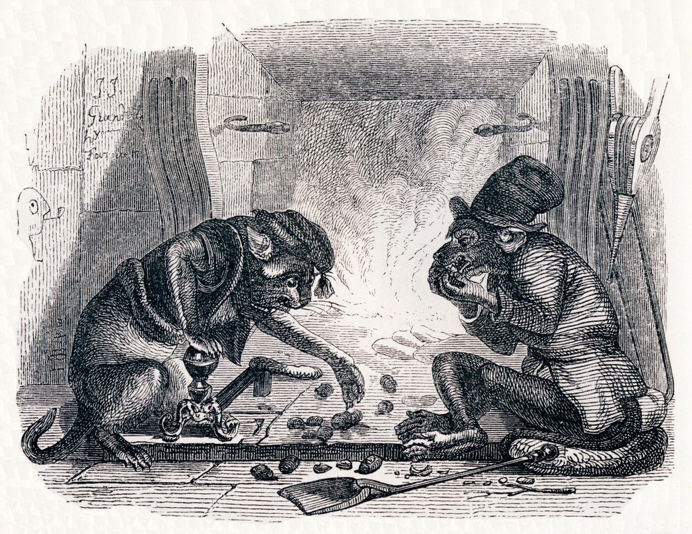 Der Esel und die Katze - Fabeln von La Fontaine