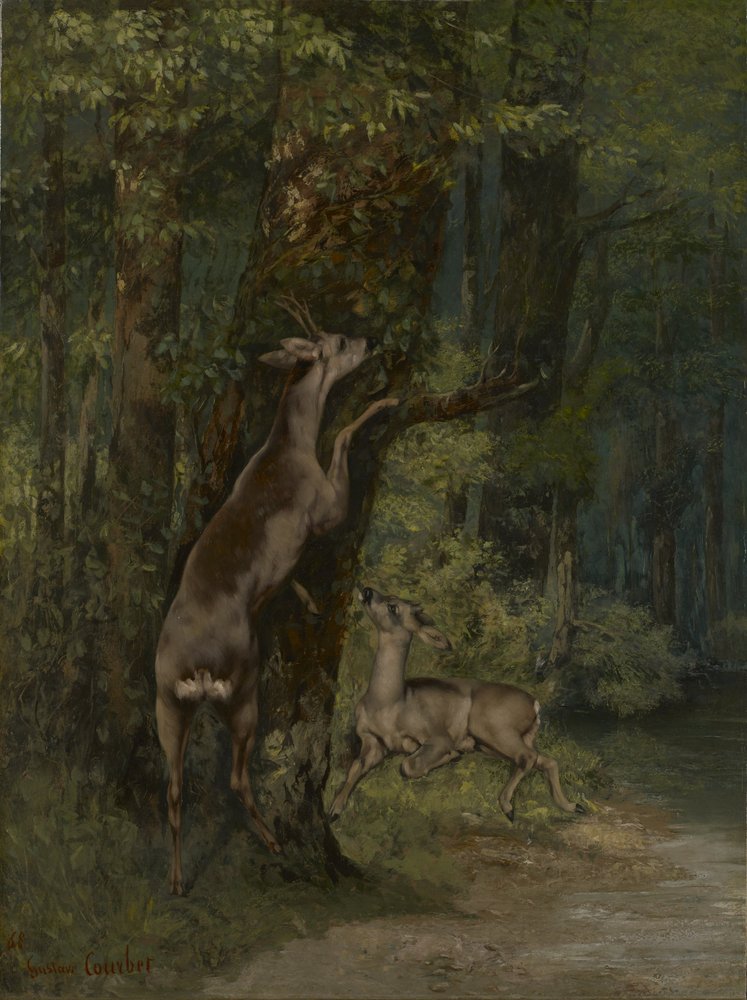 Hirsche im Wald von Gustave Courbet: Kunstdruck kaufen