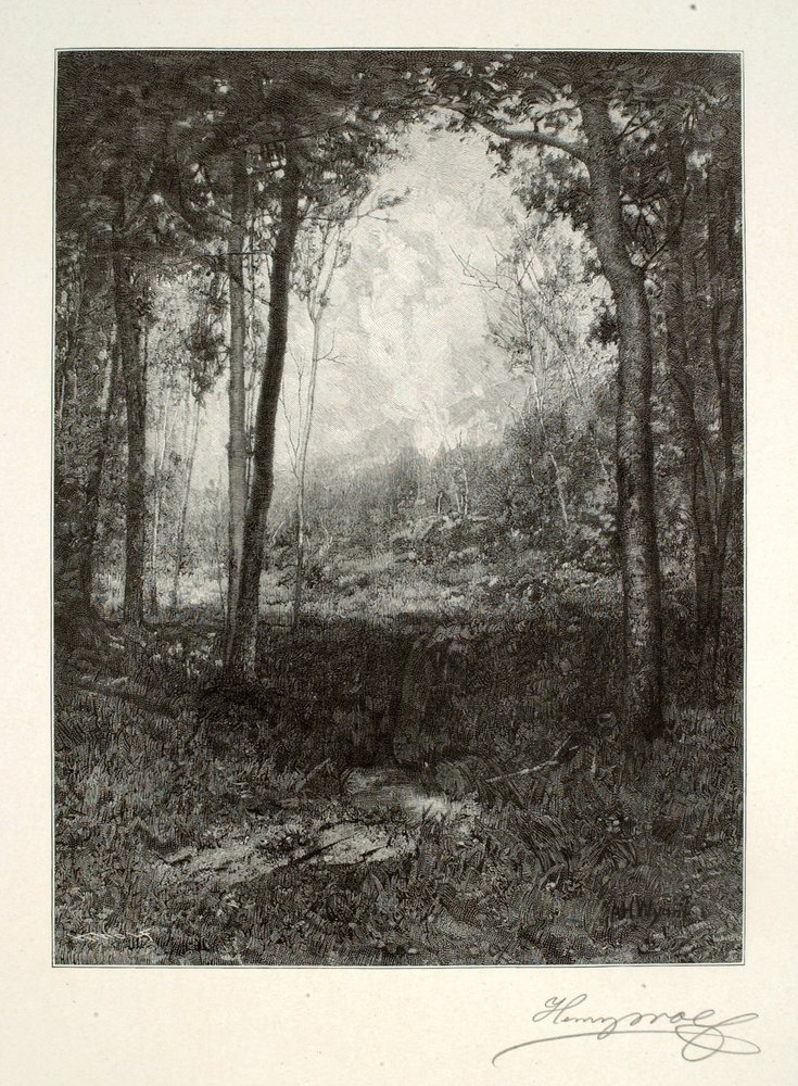 In den Adirondacks von Henry Wolf: hochwertiger Kunstdruck