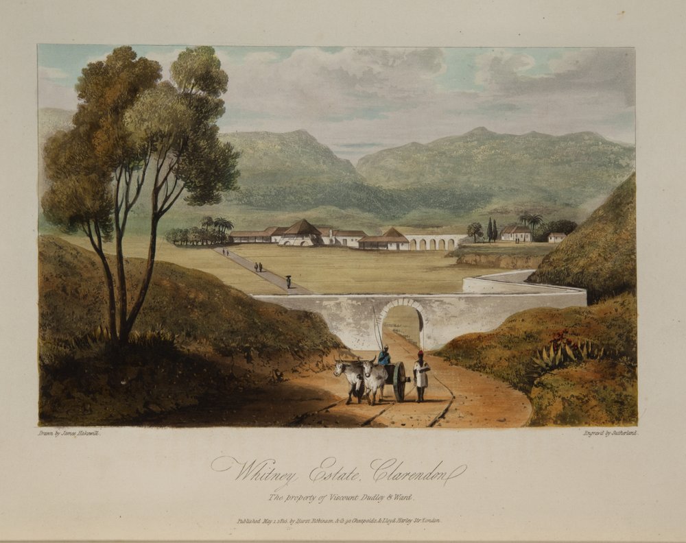 Whitney Estate, Clarendon von James Hakewill: Kunstdruck