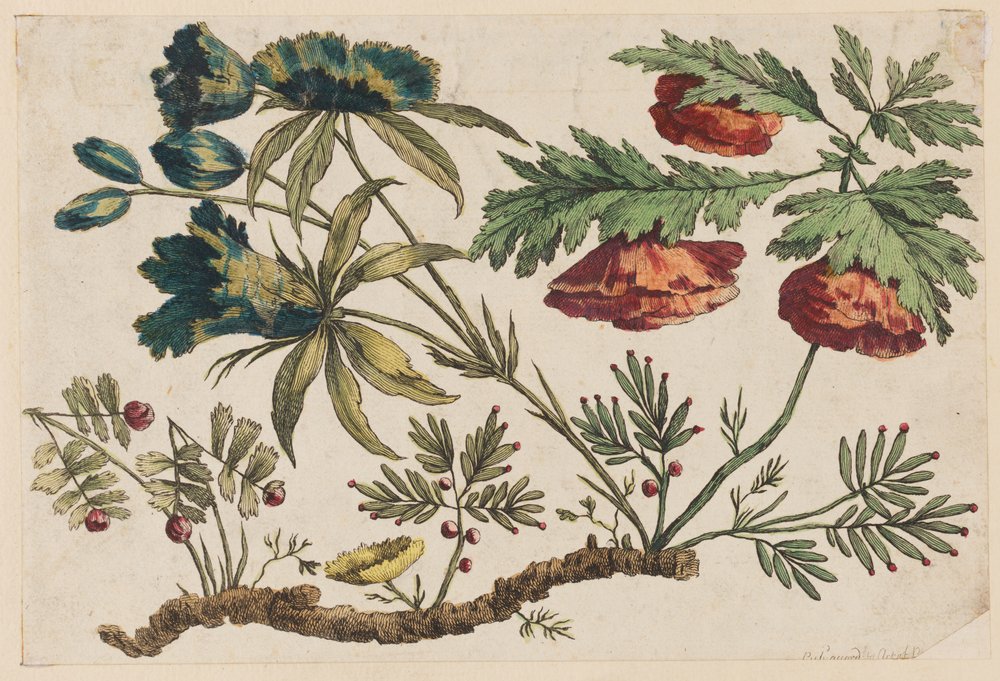 Flower Bough, aus "Chinesische Blumensammlung".