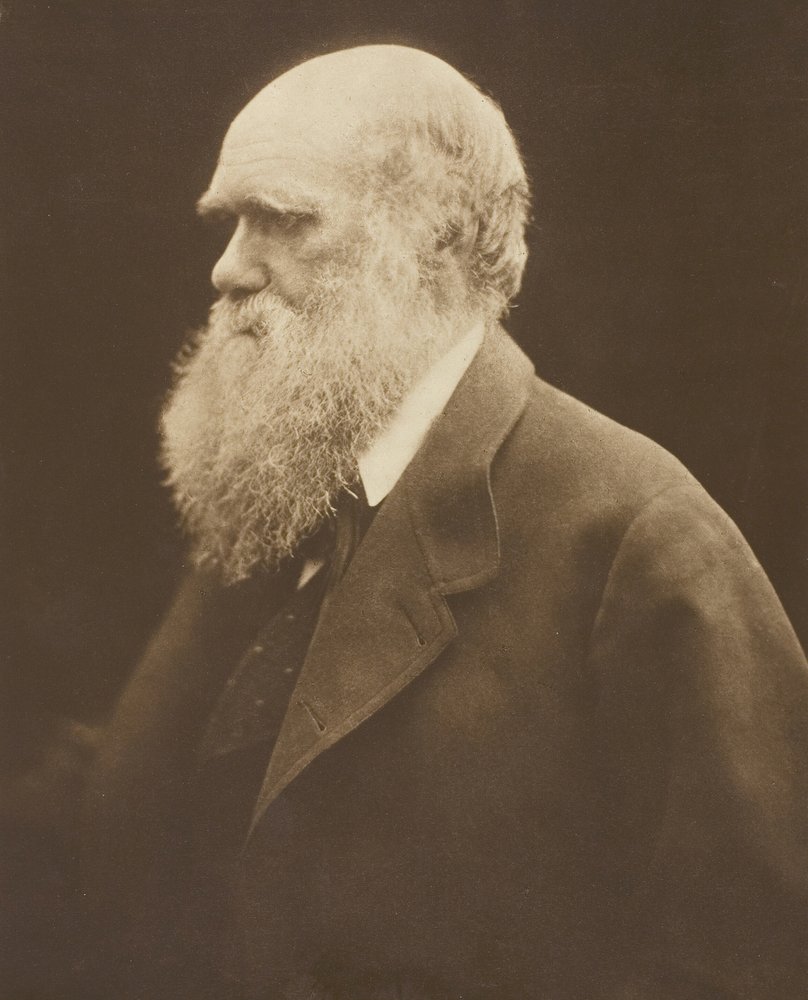 Charles Darwin, ca. 1868, gedruckt 1875