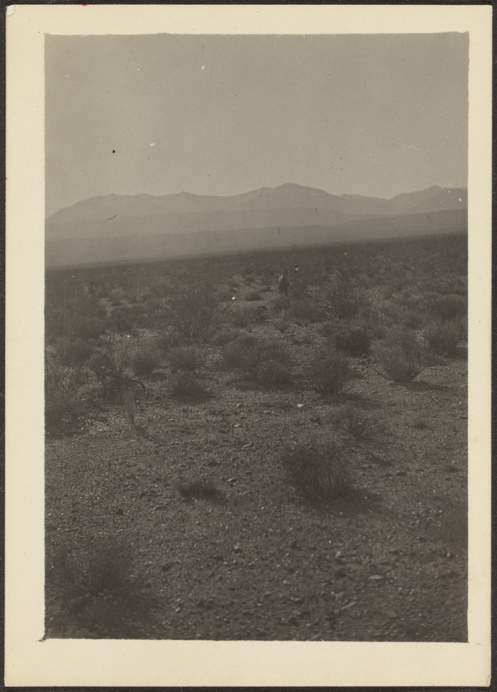 [Landschaft] von Louis Fleckenstein: Kunstdruck kaufen