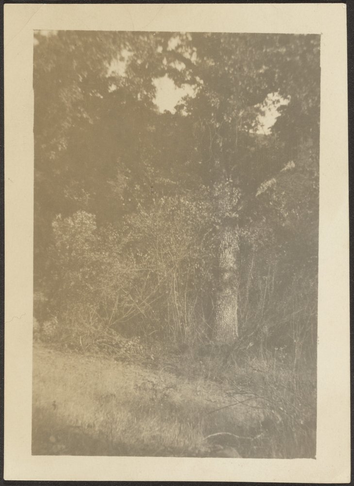 [Landschaft] von Louis Fleckenstein: Kunstdruck kaufen