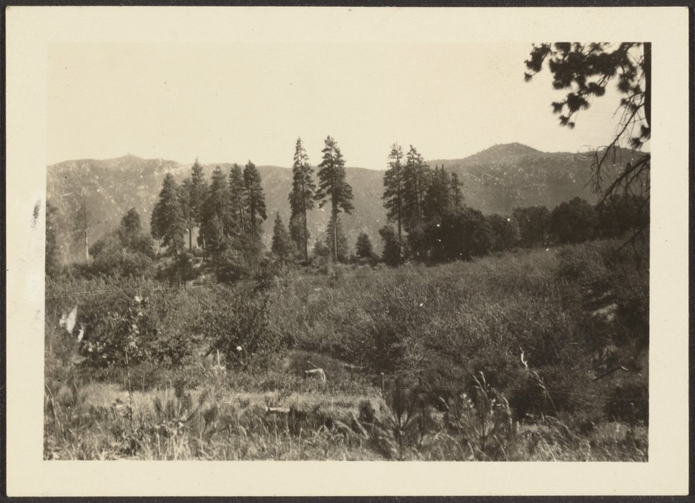 [Landschaft] von Louis Fleckenstein: Kunstdruck kaufen