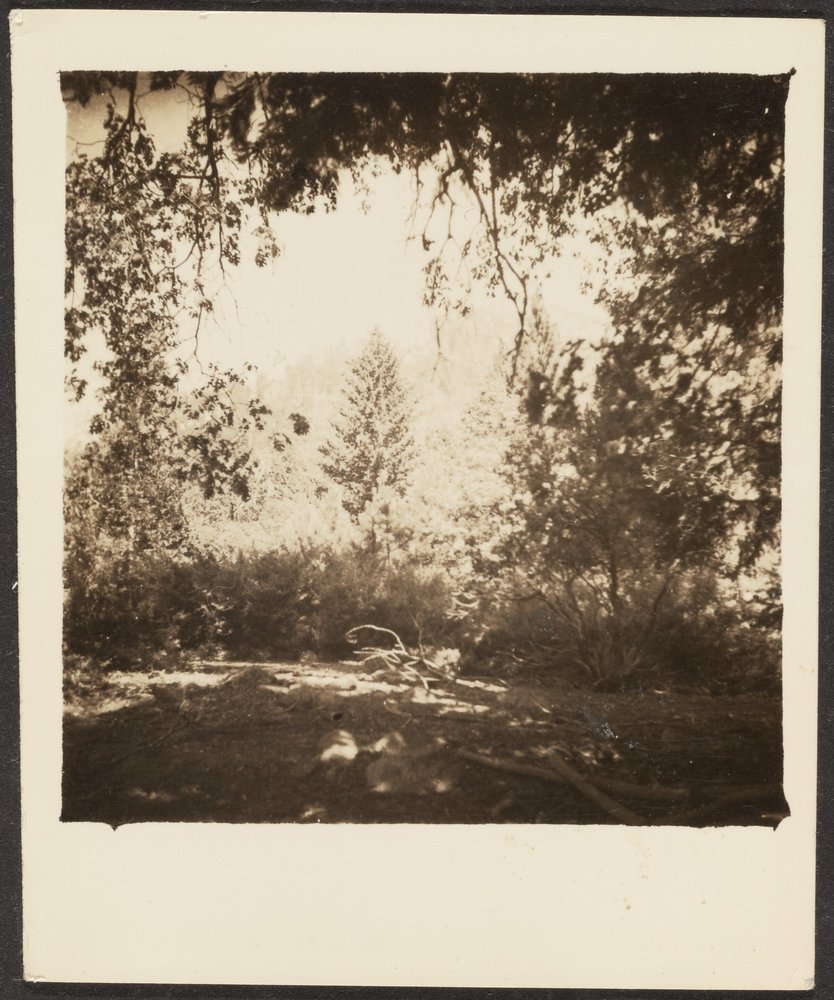 [Landschaft] von Louis Fleckenstein: Kunstdruck kaufen