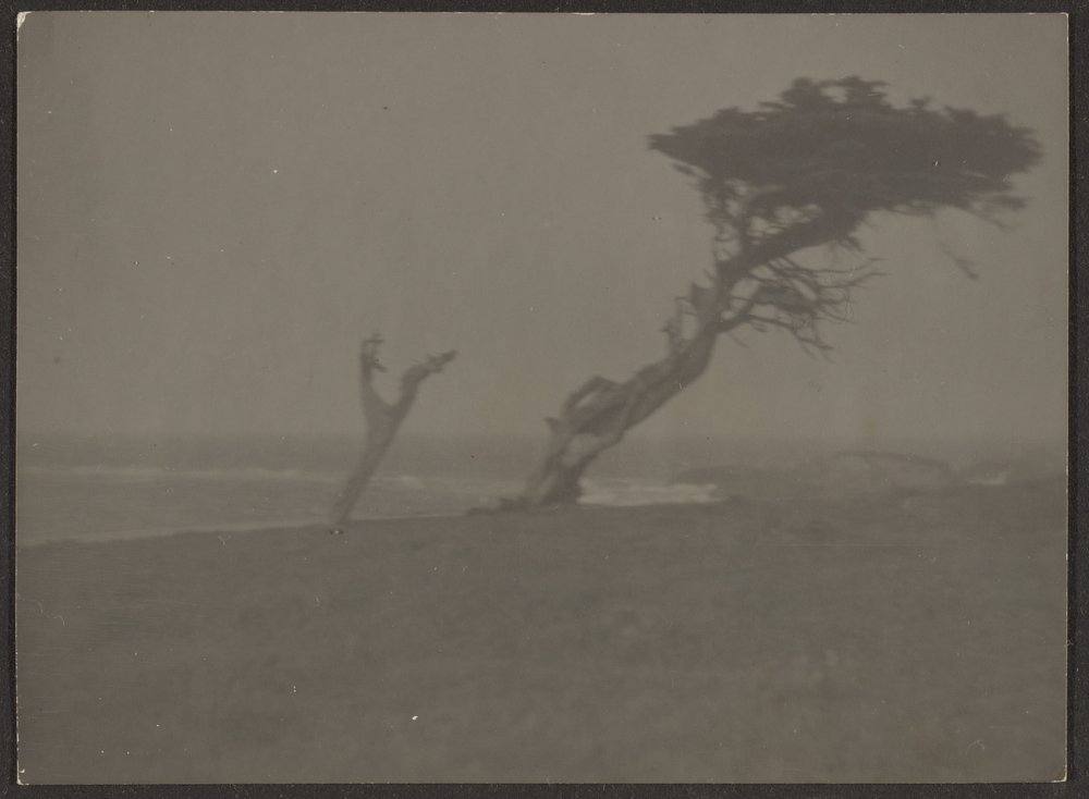 [Landschaft] von Louis Fleckenstein: Kunstdruck kaufen