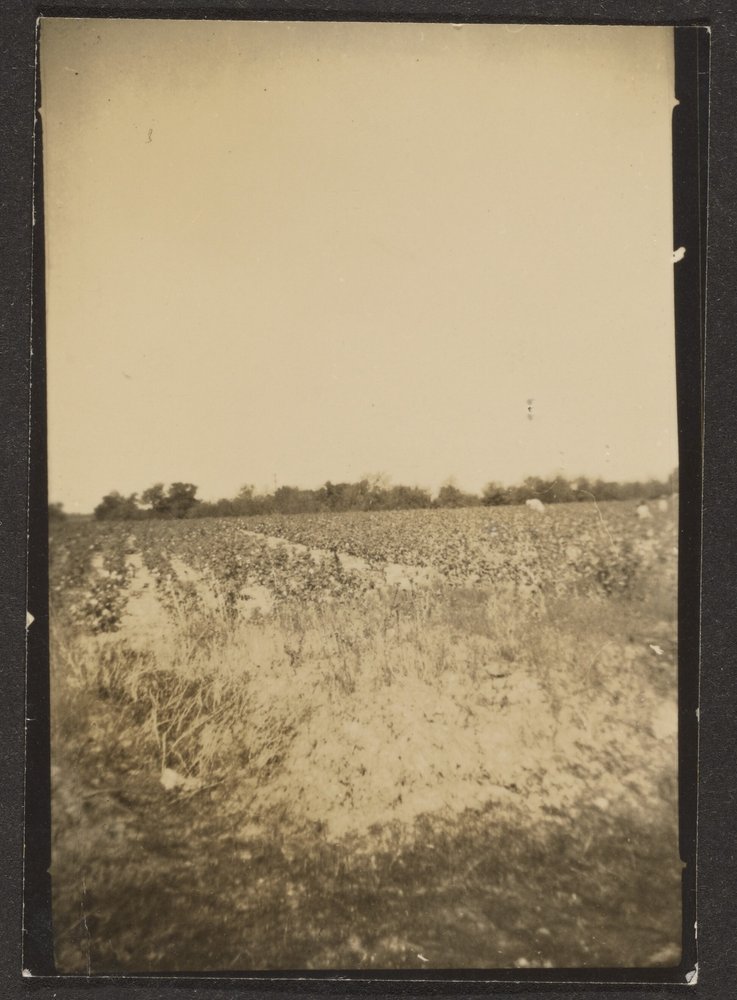 [Landschaft] von Louis Fleckenstein: Kunstdruck kaufen