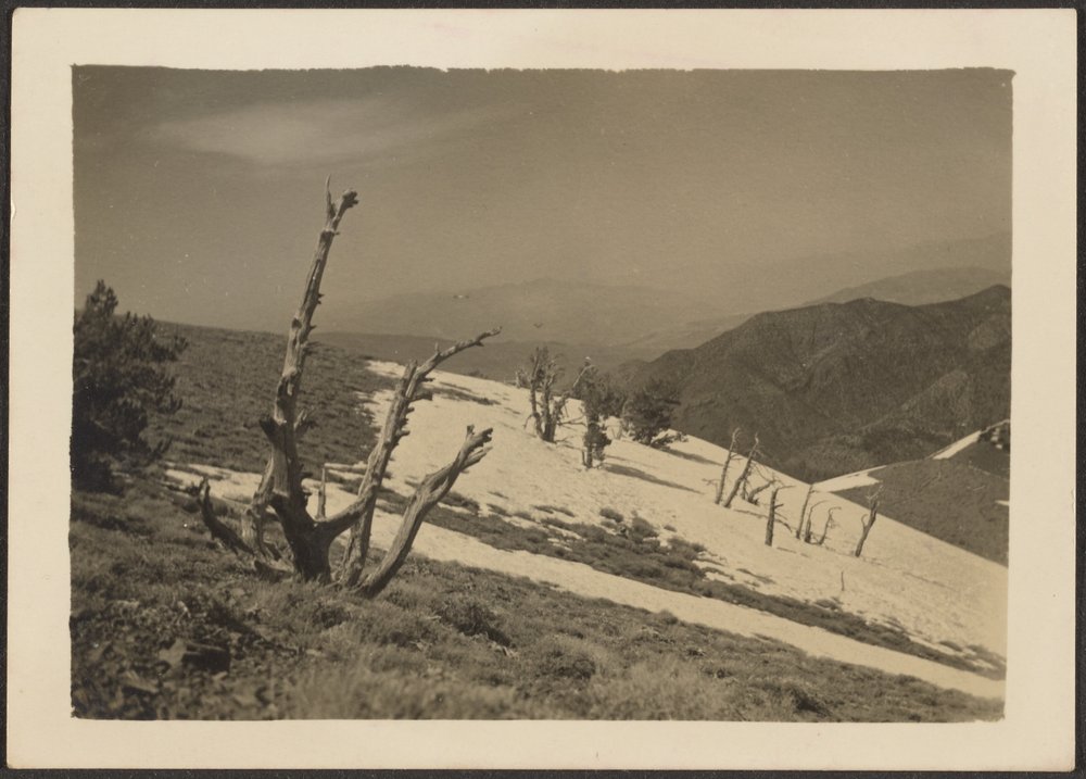 [Landschaft] von Louis Fleckenstein: Kunstdruck kaufen