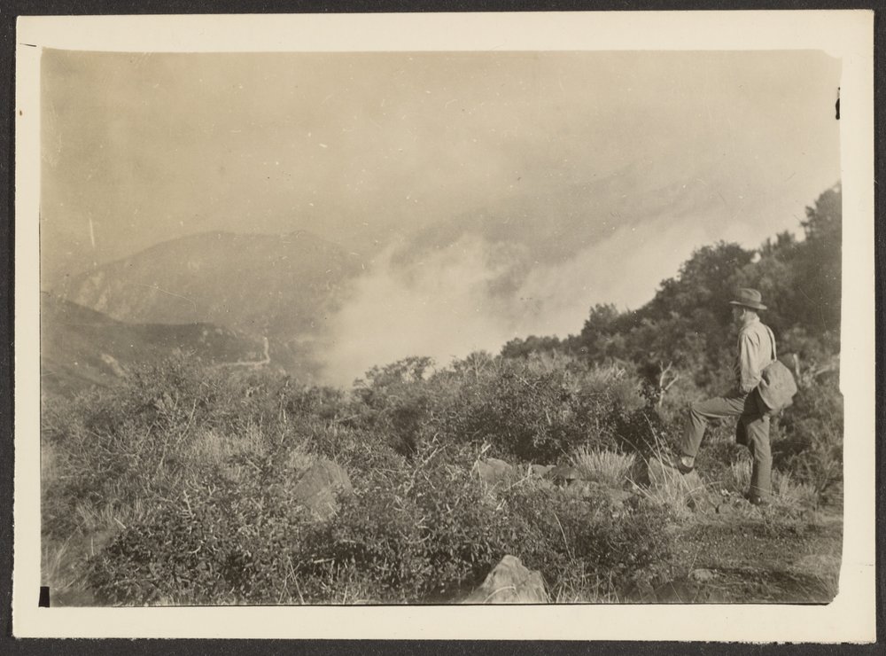 [Mann in Landschaft] von Louis Fleckenstein: Kunstdruck