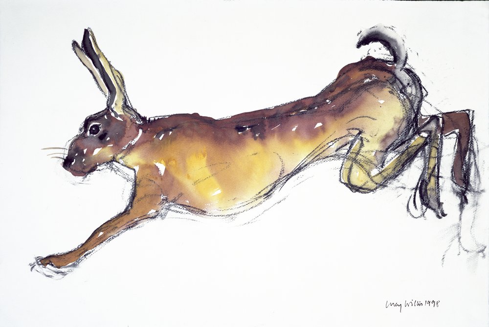Springender Hase von Lucy Willis: hochwertiger Kunstdruck