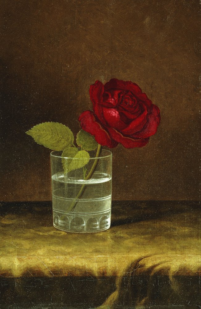 Eine rote Rose von Martin Johnson Heade: Kunstdruck kaufen
