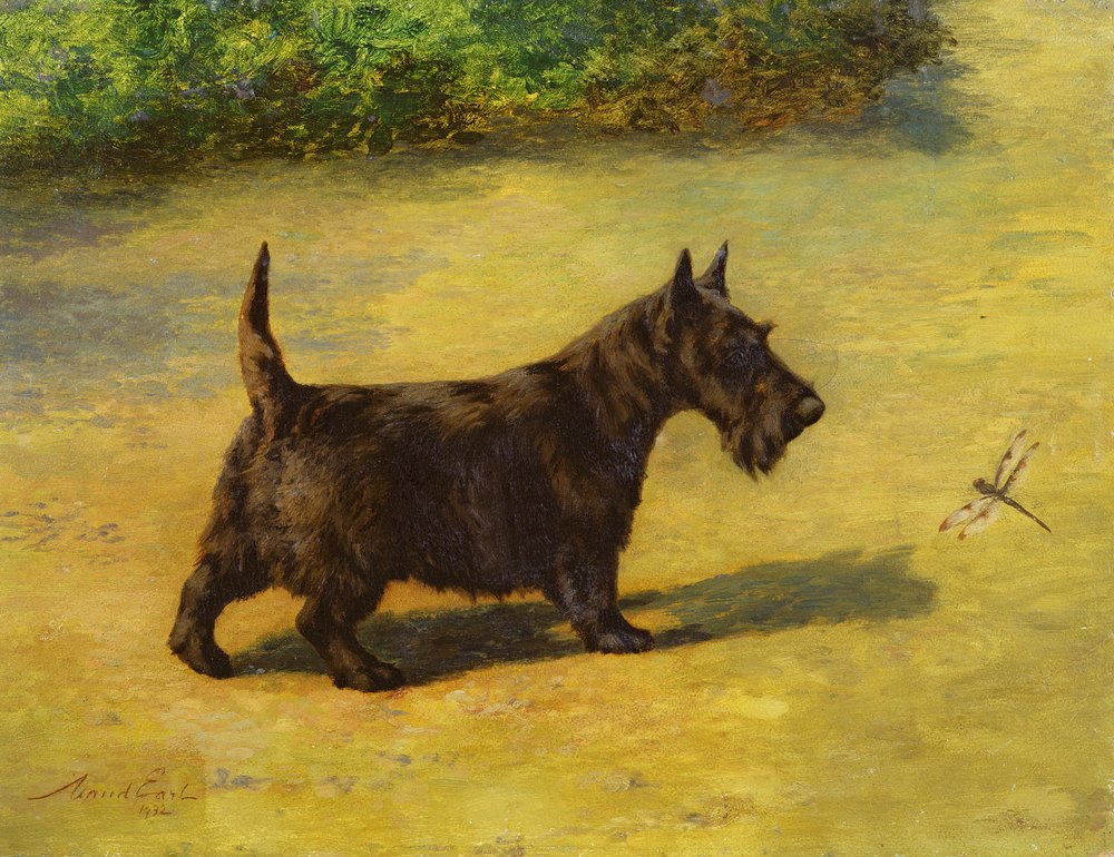 Ein neugieriger Blick von Maud Earl: Kunstdruck kaufen