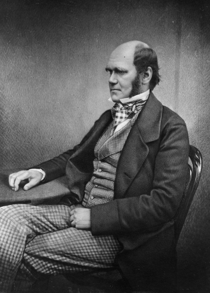Charles Darwin von Maull and Fox: hochwertiger Kunstdruck