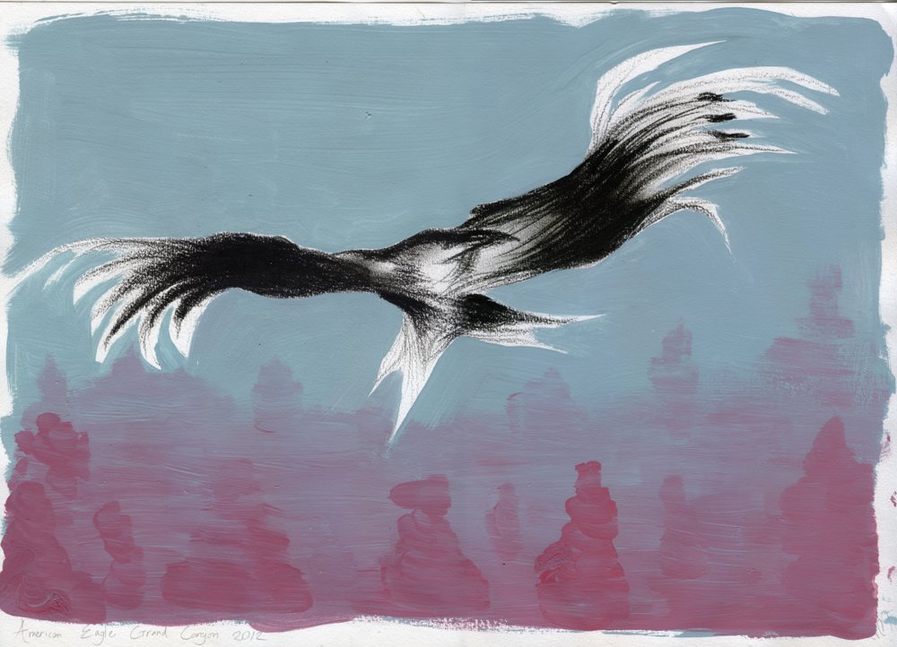 Canyon-Adler, 2014 von Nancy Moniz Charalambous: Kunstdruck