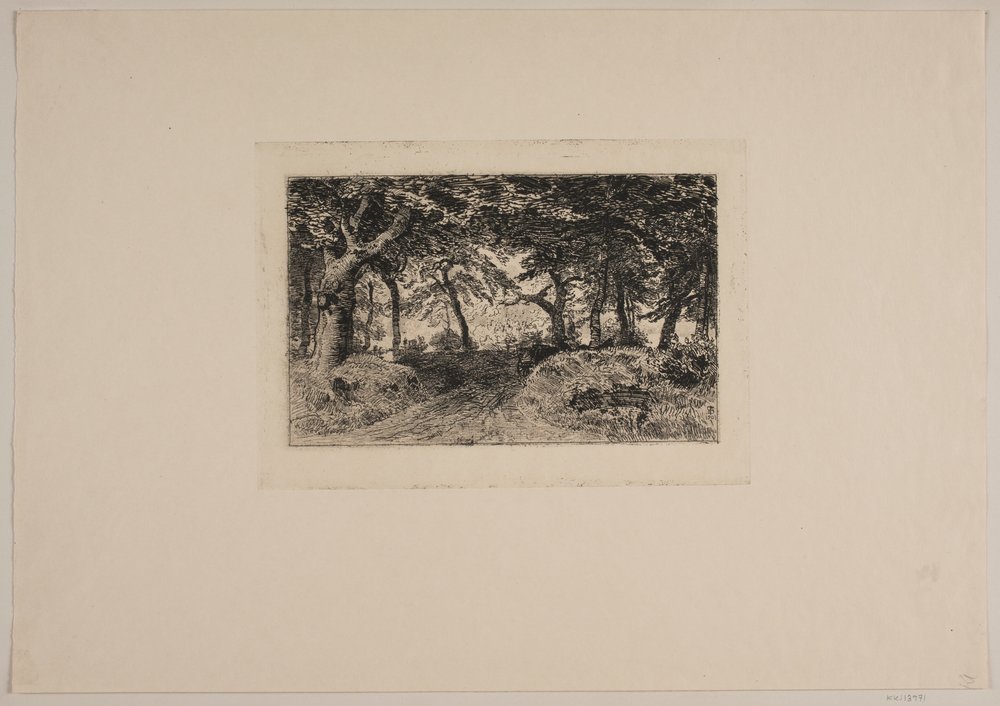 Wagen auf Waldweg von Niels Skovgaard: Kunstdruck kaufen