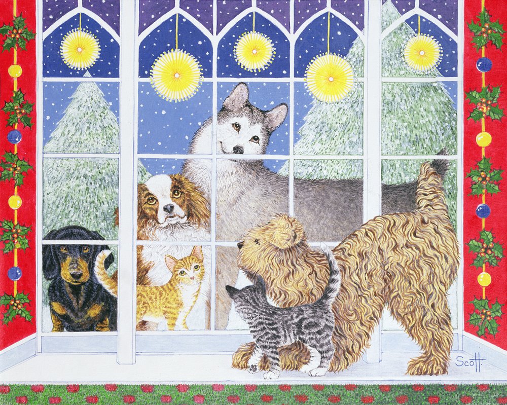 Mach mit bei der Party von Pat Scott: Kunstdruck kaufen