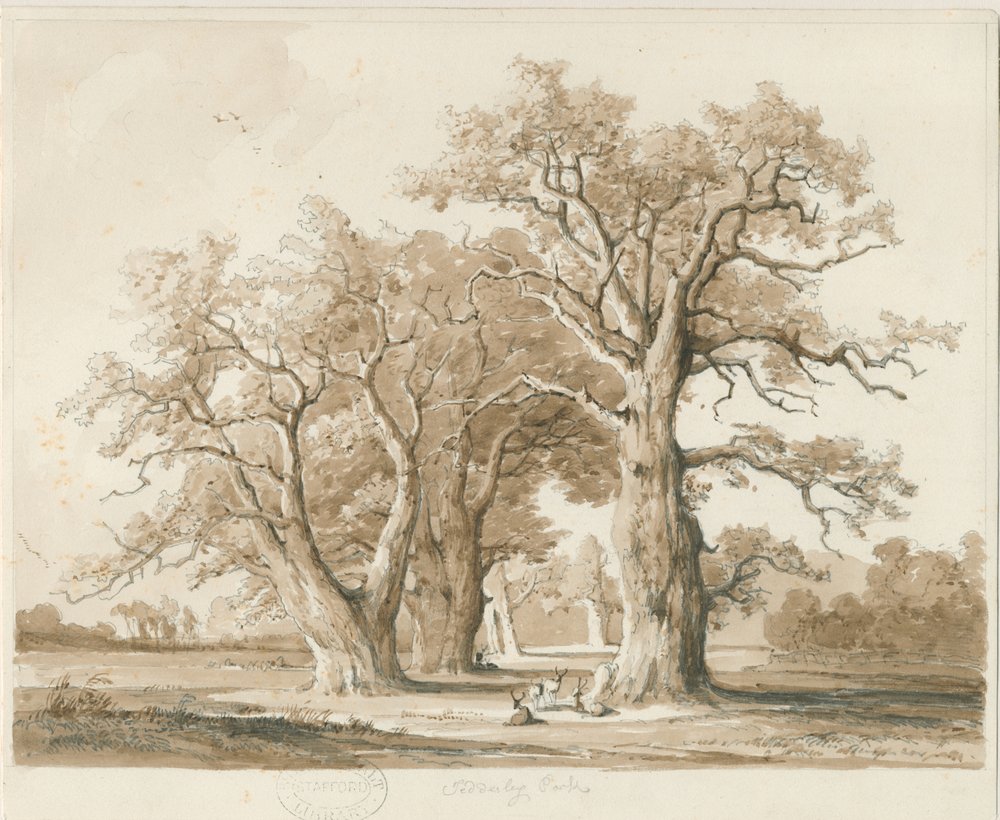 Teddesley Hall - Eichen von Thomas Peploe Wood: Kunstdruck