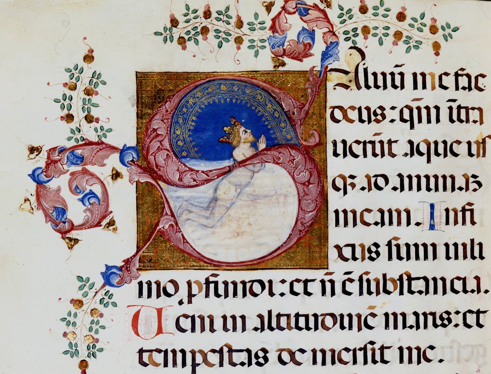 Lettrine S: David im tiefen Licht - Antiphonar des 15. Jahrhunderts. Stadtbibliothek von Rimini