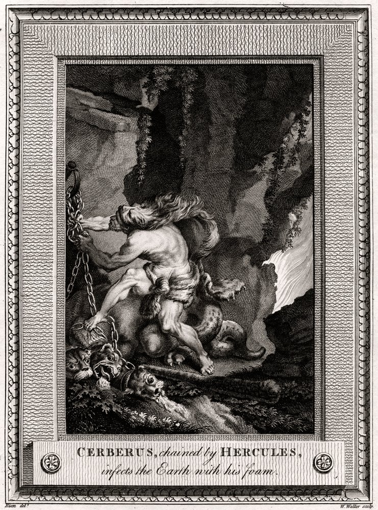 Cerberus, von Herkules angekettet, infiziert die Erde mit seinem Schaum ...