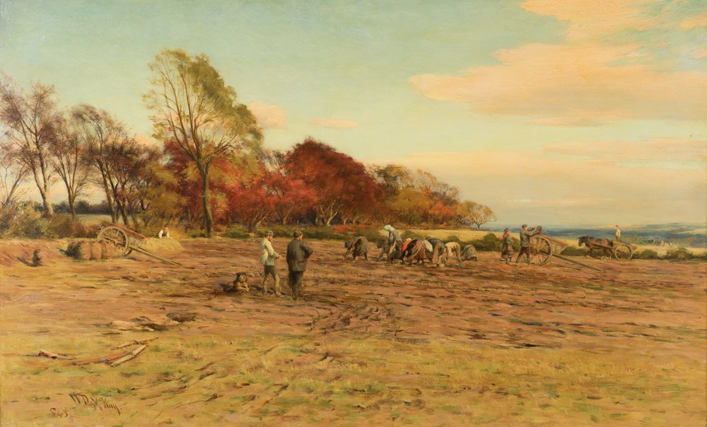 Kartoffelernte von William Darling McKay: Kunstdruck