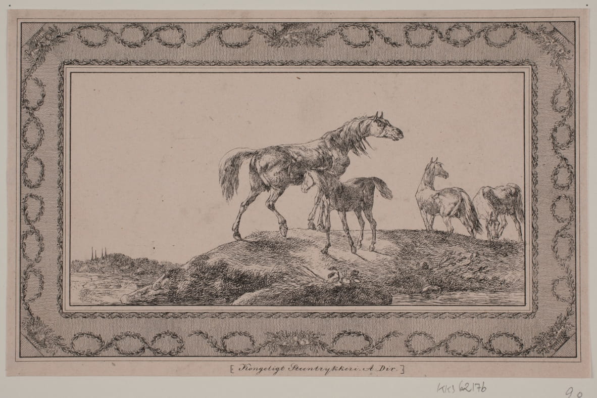 Eine Stute mit ihrem Fohlen von Christian David Gebauer