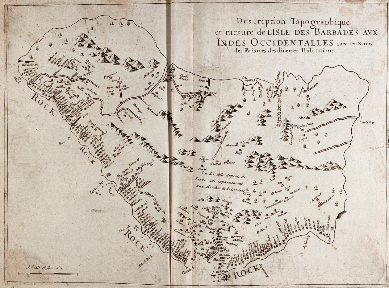 Insel Barbados von Alexis Hubert Jaillot: Kunstdruck