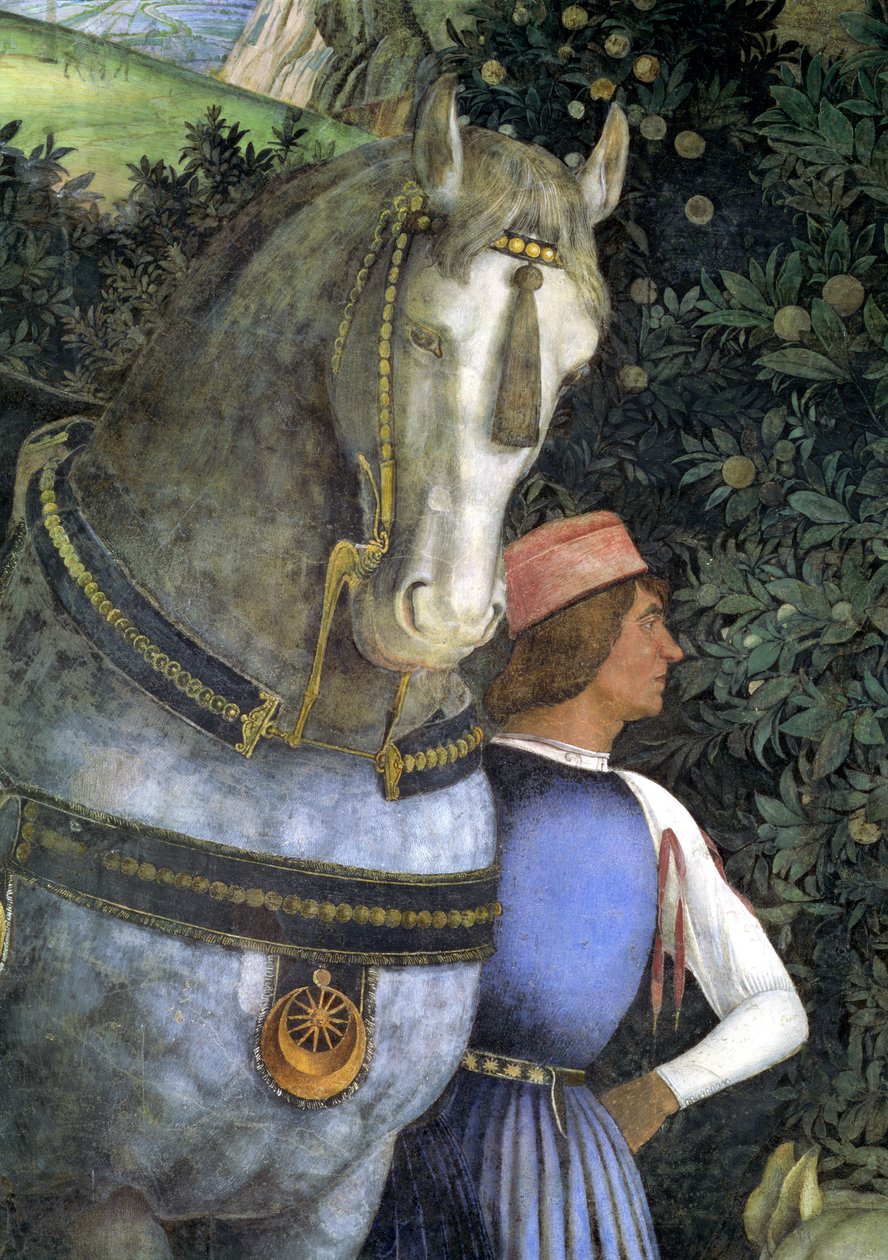 Pferd und Stallbursche, aus der Camera degli Sposi oder Camera Picta, 1465-74