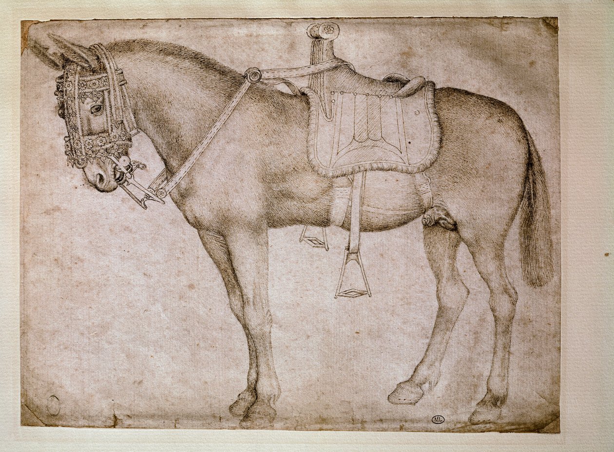 Maultiergeschirr. Zeichnung von Antonio Pisano, genannt il Pisanello