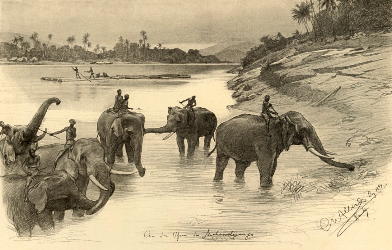 Elefanten am Ufer des Mahaweli-Flusses, Ceylon