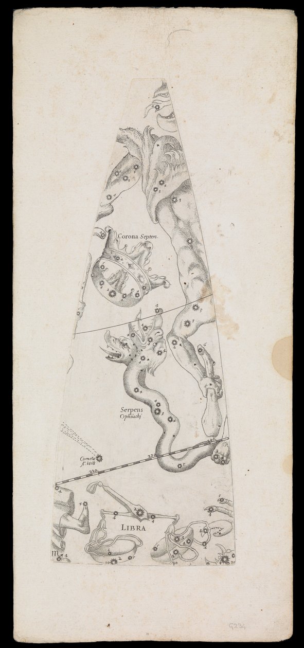 Himmelsglobus-Gores von Domenico de' Rossi: Kunstdruck