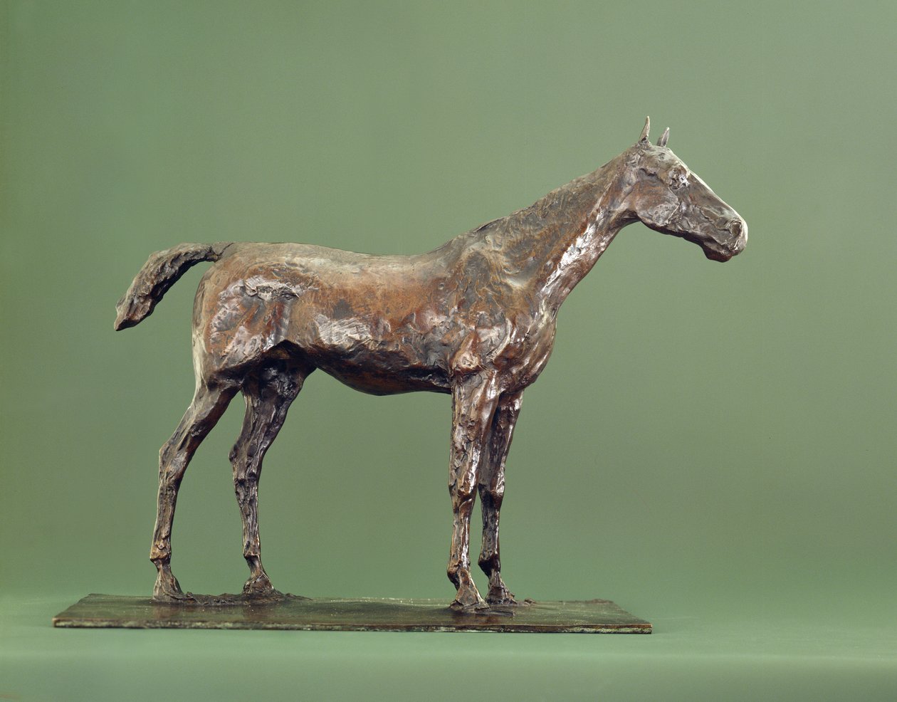 Stehendes Pferd von Edgar Degas: hochwertiger Kunstdruck