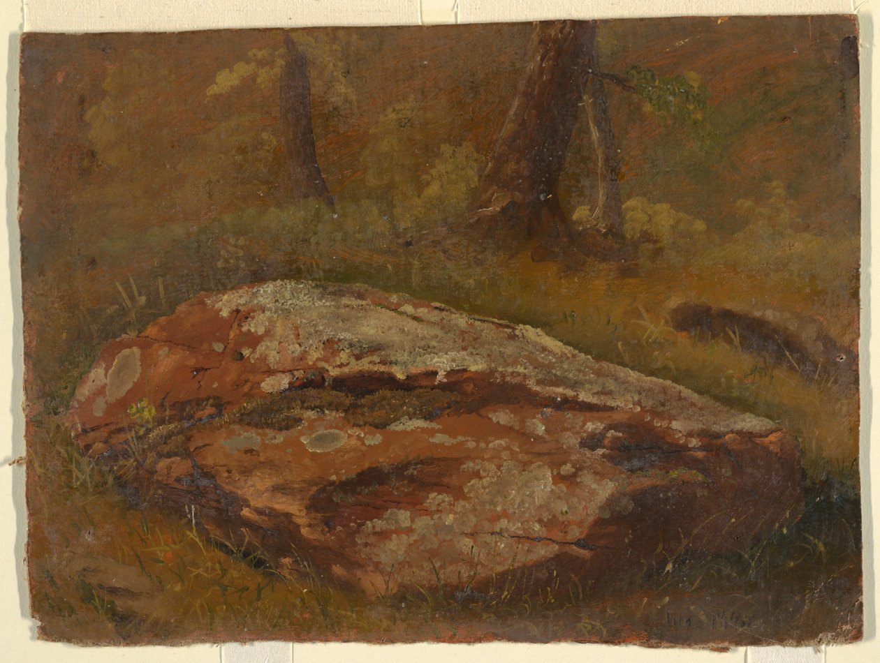 Moosiger Felsen von Frederic Edwin Church: Kunstdruck