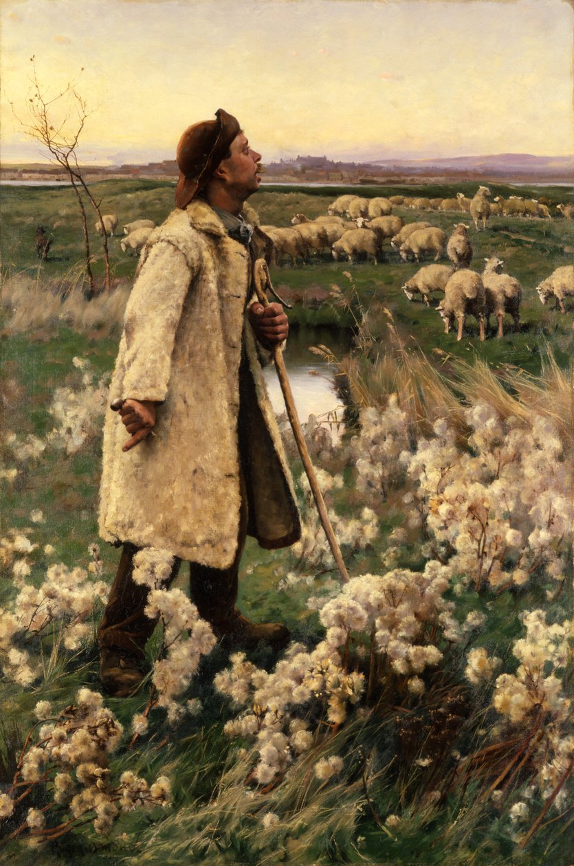 Schäfer, 1884 von Gaines Ruger Donoho: Kunstdruck kaufen