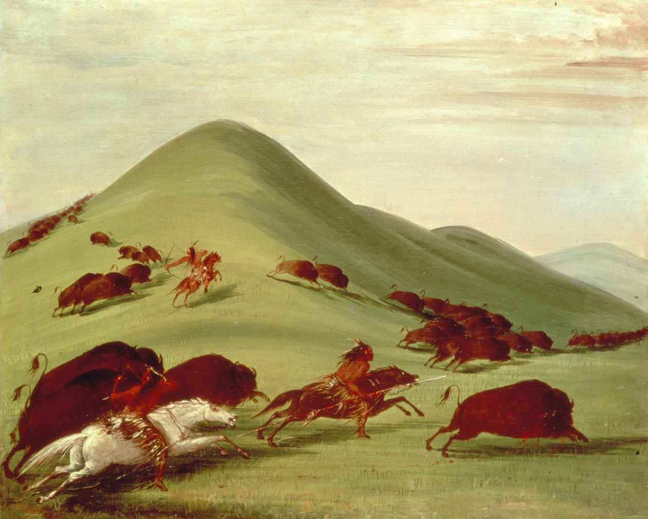 Die Büffeljagd von George Catlin: hochwertiger Kunstdruck