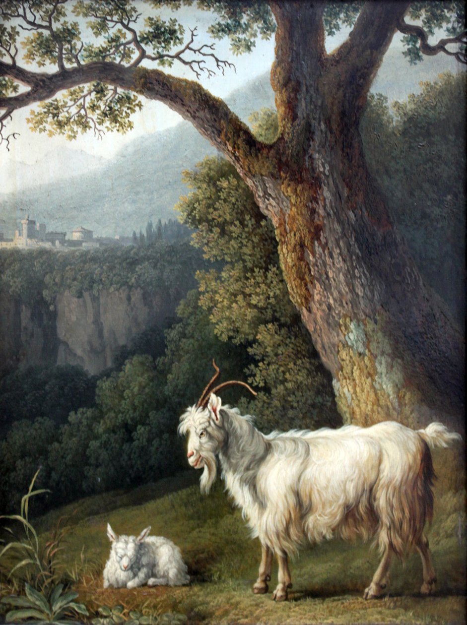 Ziege und Lamm von Jacob Philipp Hackert: Kunstdruck