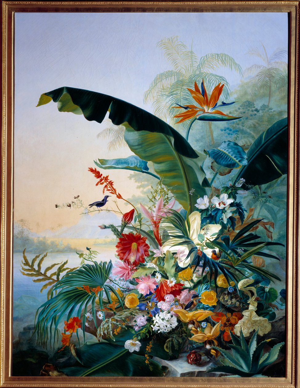 Exotische Blumen von Jean Benner-Fries: Kunstdruck kaufen