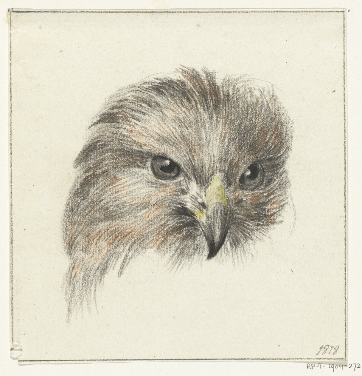 Kopf eines Raubvogels von Jean Bernard: Kunstdruck kaufen