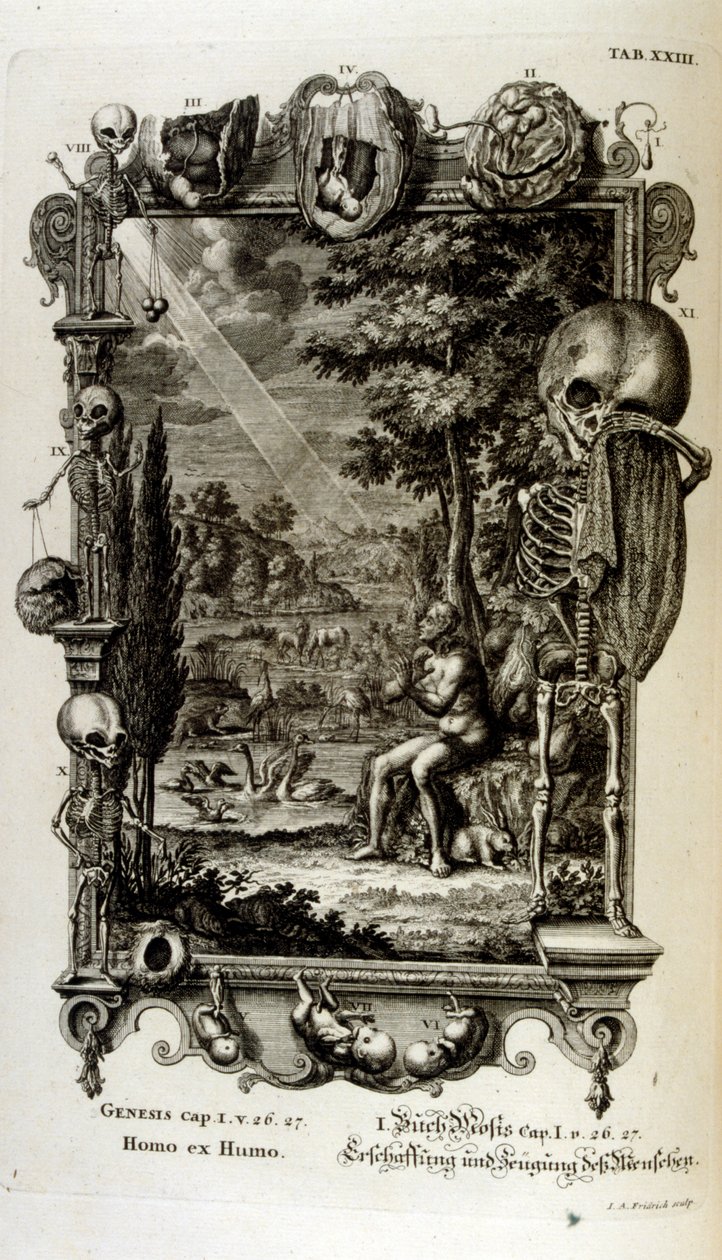 Kupferstich aus 'Physica Sacra' von dem Schweizer Gelehrten Johann ...