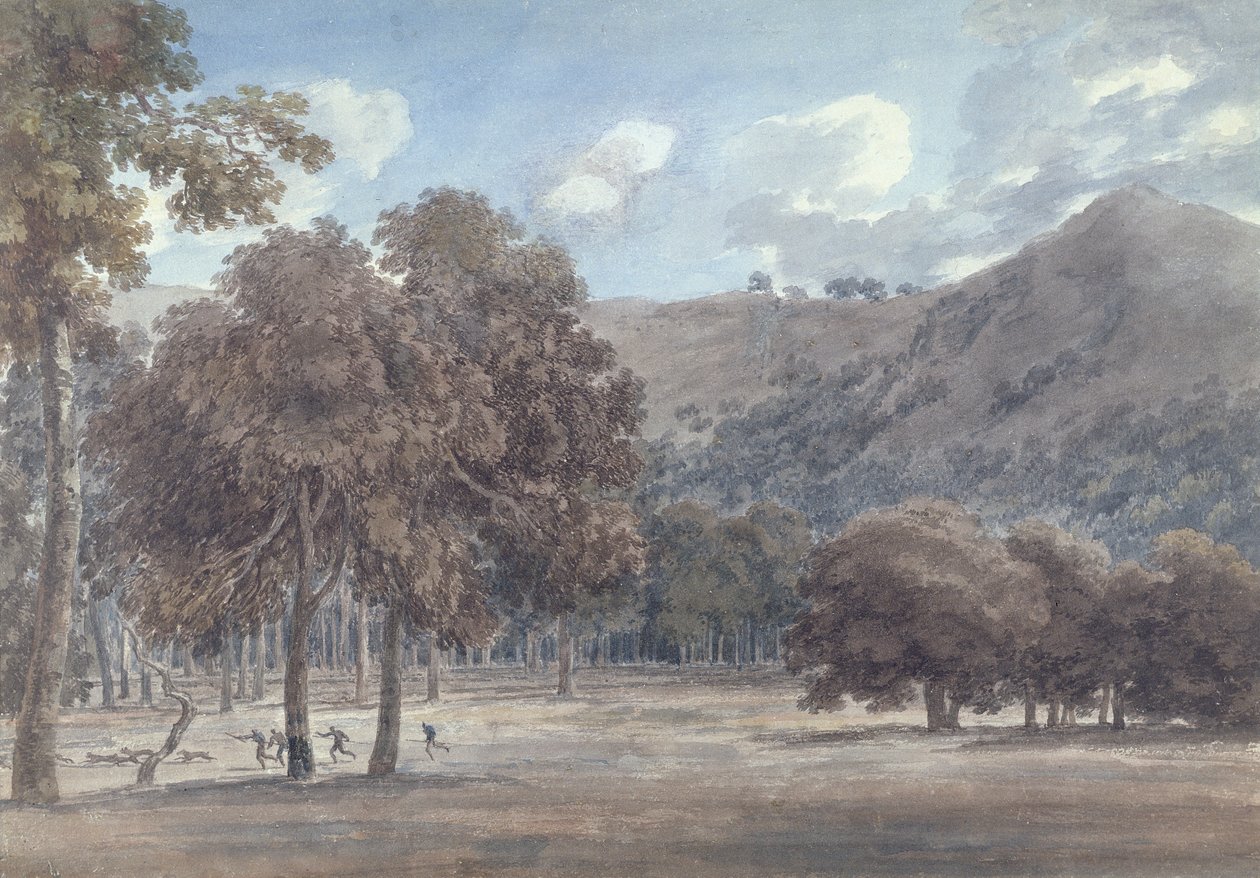 Il Parco da Degle' Astroni - Der bewaldete Kraterboden mit Jagd im ...